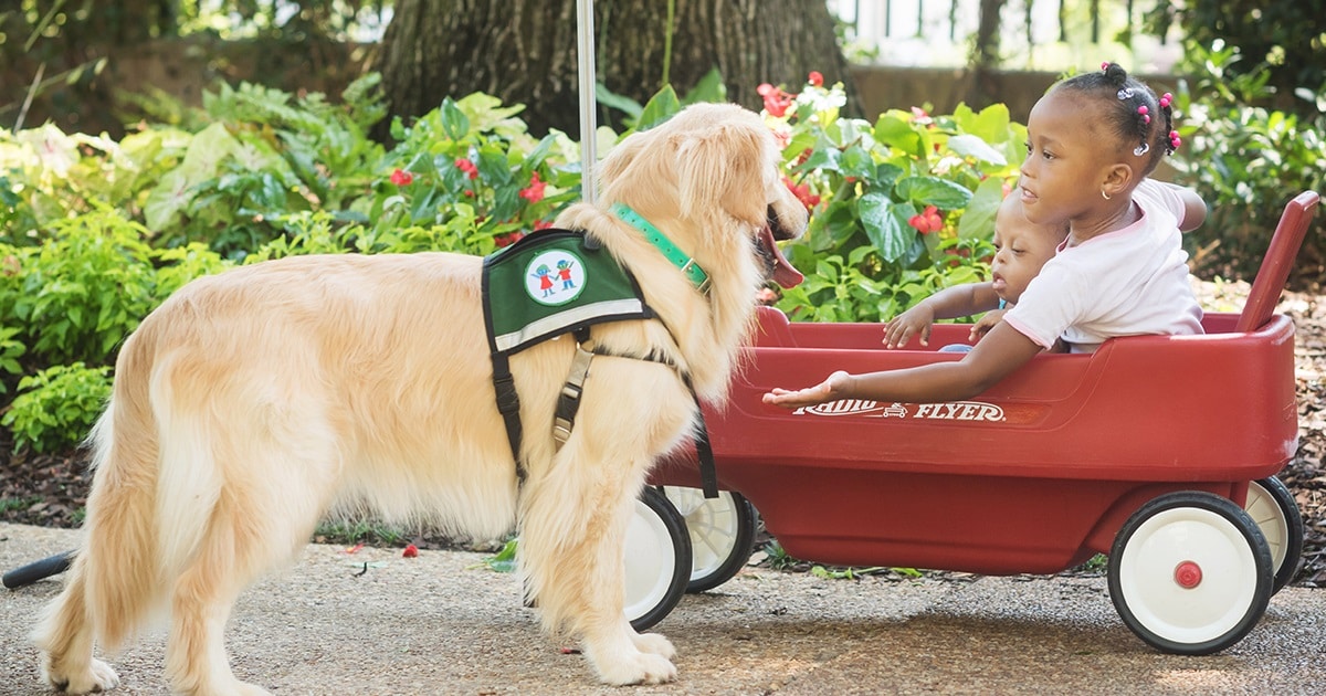 Donors and Volunteers | Children's Healthcare of Atlanta